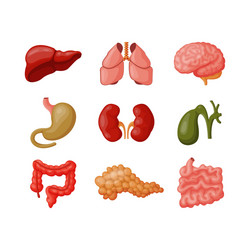 Realistic sick human organs set anatomy Royalty Free Vector