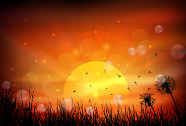 Dra Vector Images (over 110)