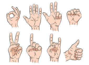 Diverse Hand Gestures Collection Royalty Free Vector Image