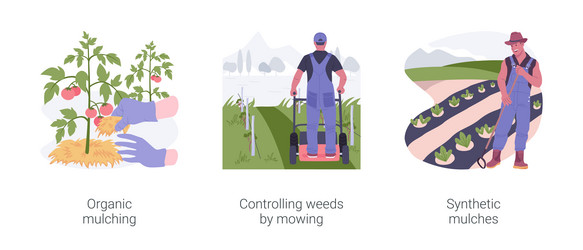 Weed Vector Images (over 57,000)