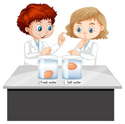 Science Experiment With Egg Float Test Royalty Free Vector