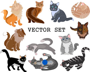 Multi-colored cats with bows Royalty Free Vector Image