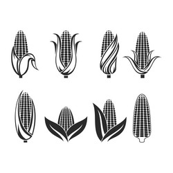 Corn Maize Vector Images (over 10,000)