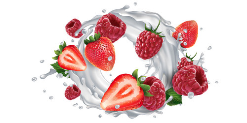 Raspberries Vector Images (over 26,000)