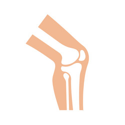 Knee icon bones isolated Royalty Free Vector Image