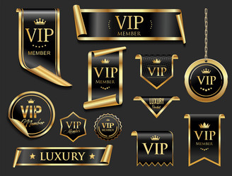 Vip premium and exclusive sign crown isolated Vector Image