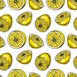 Lemon slice seamless pattern colorful hand drawn Vector Image