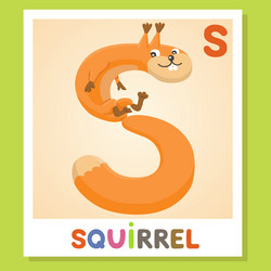 S is for squirrel letter squirrel cute animal Vector Image