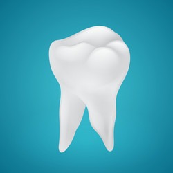 Human Teeth Vector Images (over 30,000)