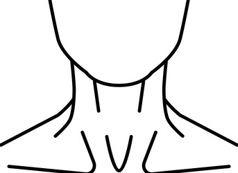 Human Torso Outline Vector Images (over 720)