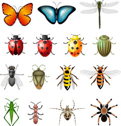 Flat insects icons set butterfly dragonfly Vector Image