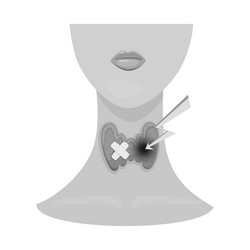 Endocrine System Icon Vector Images (over 1,500)