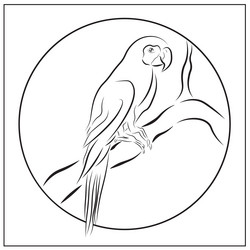 Parrot Ara Logo Vector Images (over 250)