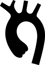 Aorta Vector Images (over 5,000)