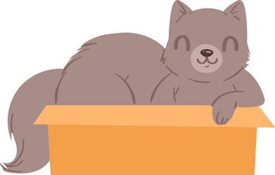 A cat above the box Royalty Free Vector Image - VectorStock