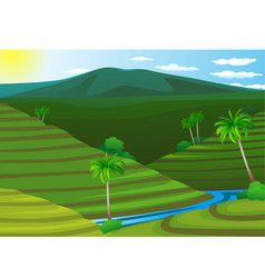 Rice Field Vector Images (over 10,000)