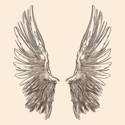 Angel Wing Stencil Vector Images (over 750)