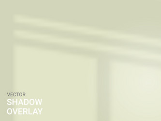 Window shadow overlay effect indoor background Vector Image