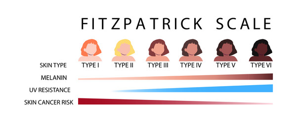 Fitzpatrick scale skin types infographic Vector Image