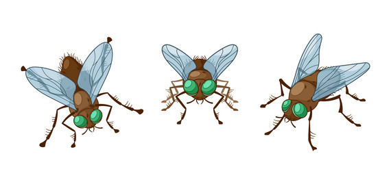 Insect fly side view pose agile aerial Royalty Free Vector