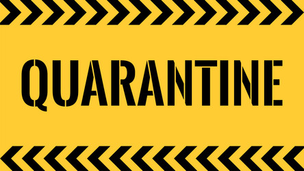 Caution warning in yellow-black border Royalty Free Vector