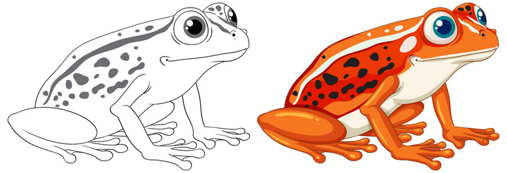 Orange frog cartoon Royalty Free Vector Image - VectorStock