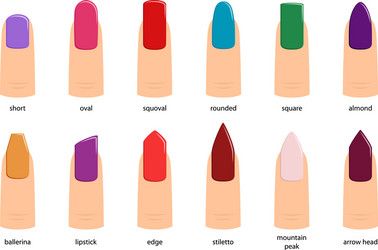Nail shape icons Royalty Free Vector Image - VectorStock
