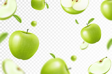 Apple background flying whole half and slices Vector Image