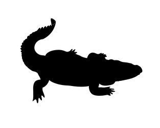 Crocodile Shadow Vector Images (over 180)