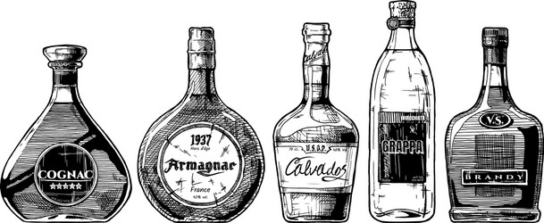Brandy Label Vector Images (over 7,400)