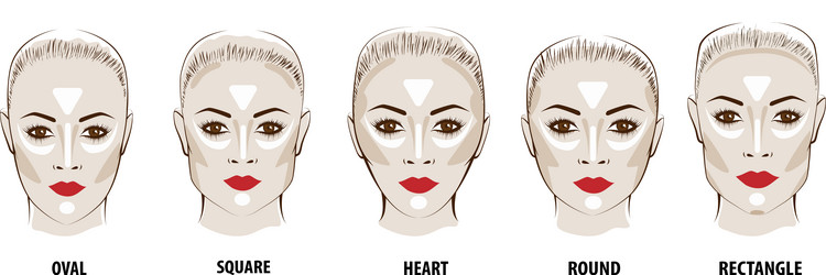 Highlight contour and blush for different female Vector Image