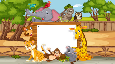 Empty wooden frame with various wild animals Vector Image