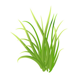 Lawn turf Royalty Free Vector Image - VectorStock