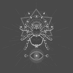 Tarantulas Vector Images (over 4,300)