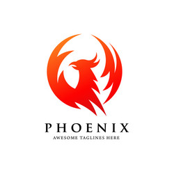Phoenix circle collection Royalty Free Vector Image
