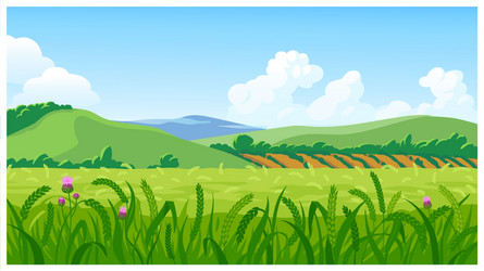 Summer field Royalty Free Vector Image - VectorStock