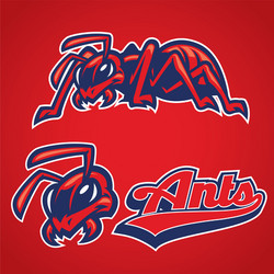 Head Ant Mascot Royalty Free Vector Image Vectorstock