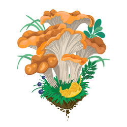 Mycelium Vector Images (over 1,000)