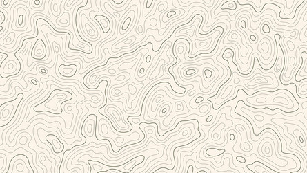 Topographic map patterns topography line Vector Image