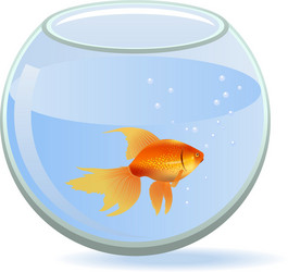 Goldfish in an aquarium Royalty Free Vector Image