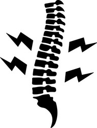 Musculoskeletal Disorders Vector Images (30)