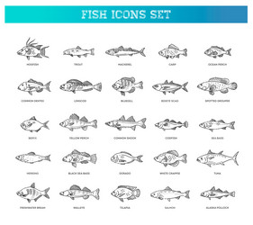 Freshwater fish set types of fish Royalty Free Vector Image