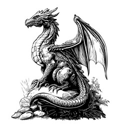 Dragon mystical with wings sketch drawn in doodle Vector Image