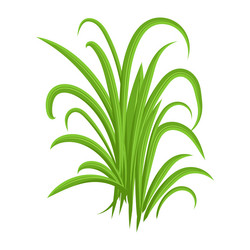 Surf and Turf Vector Images (4)