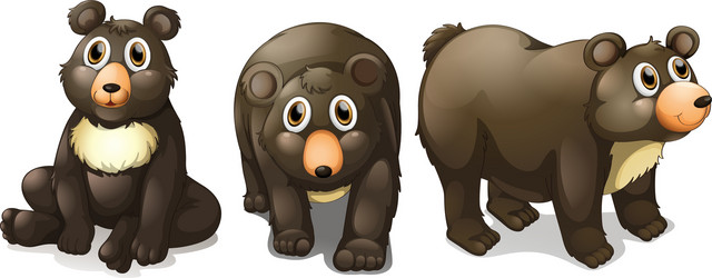 Set of three different bears Royalty Free Vector Image