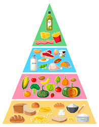 Cartoon food pyramid nutrition infographic Vector Image