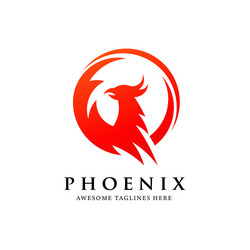 Phoenix circle collection Royalty Free Vector Image