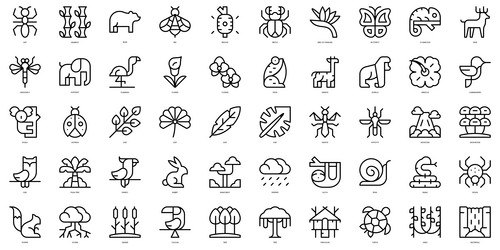 Simple outline set of rainforest icons linear Vector Image