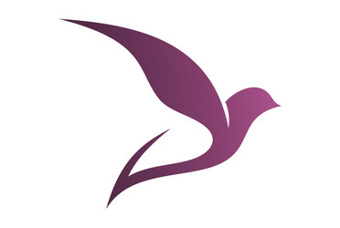 Eagle symbol icon design on white background Vector Image