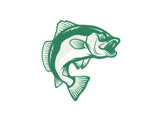 Speckled Sea Trout Vector Images (16)